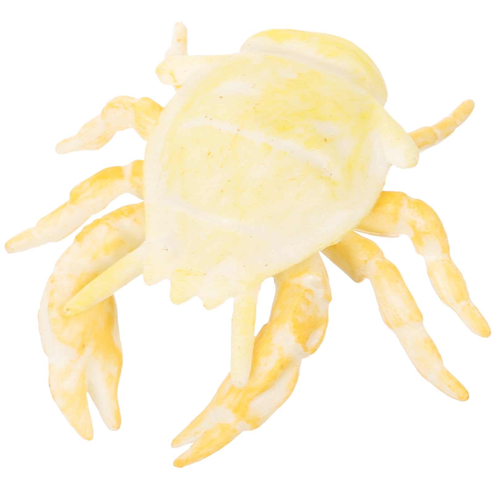 Realistic Simulation Crab Model Educational Plastic Simulated Crab ...