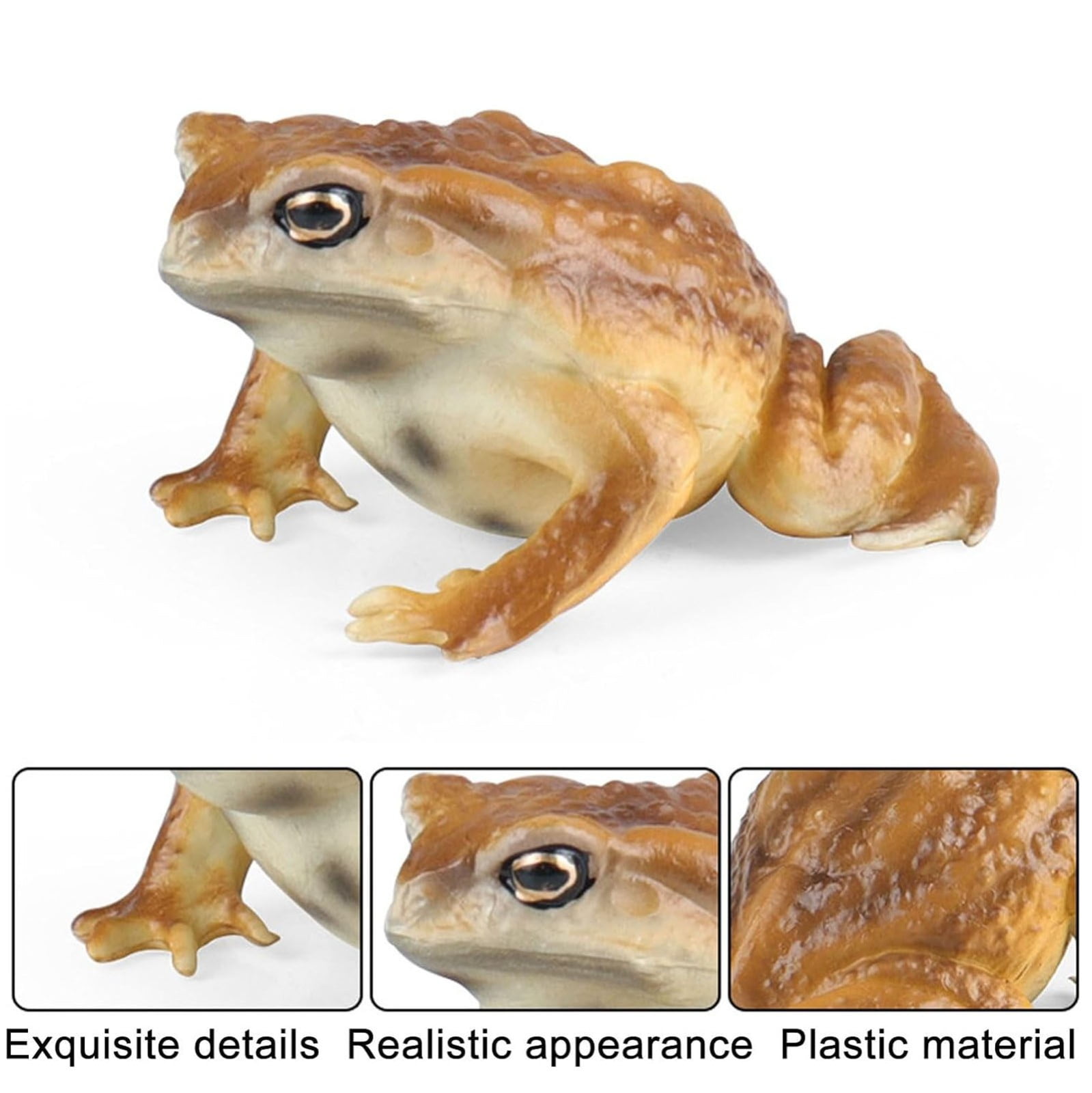 Realistic Solid Frog and Animal Figurines for S Educational Reptile Toys Ideal for Birthday and ...