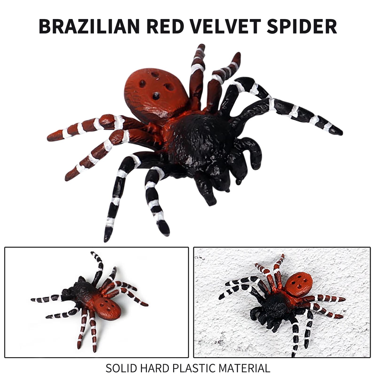 Realistic Spider Insect Model Toy, Articulated Legs for Crawling ...