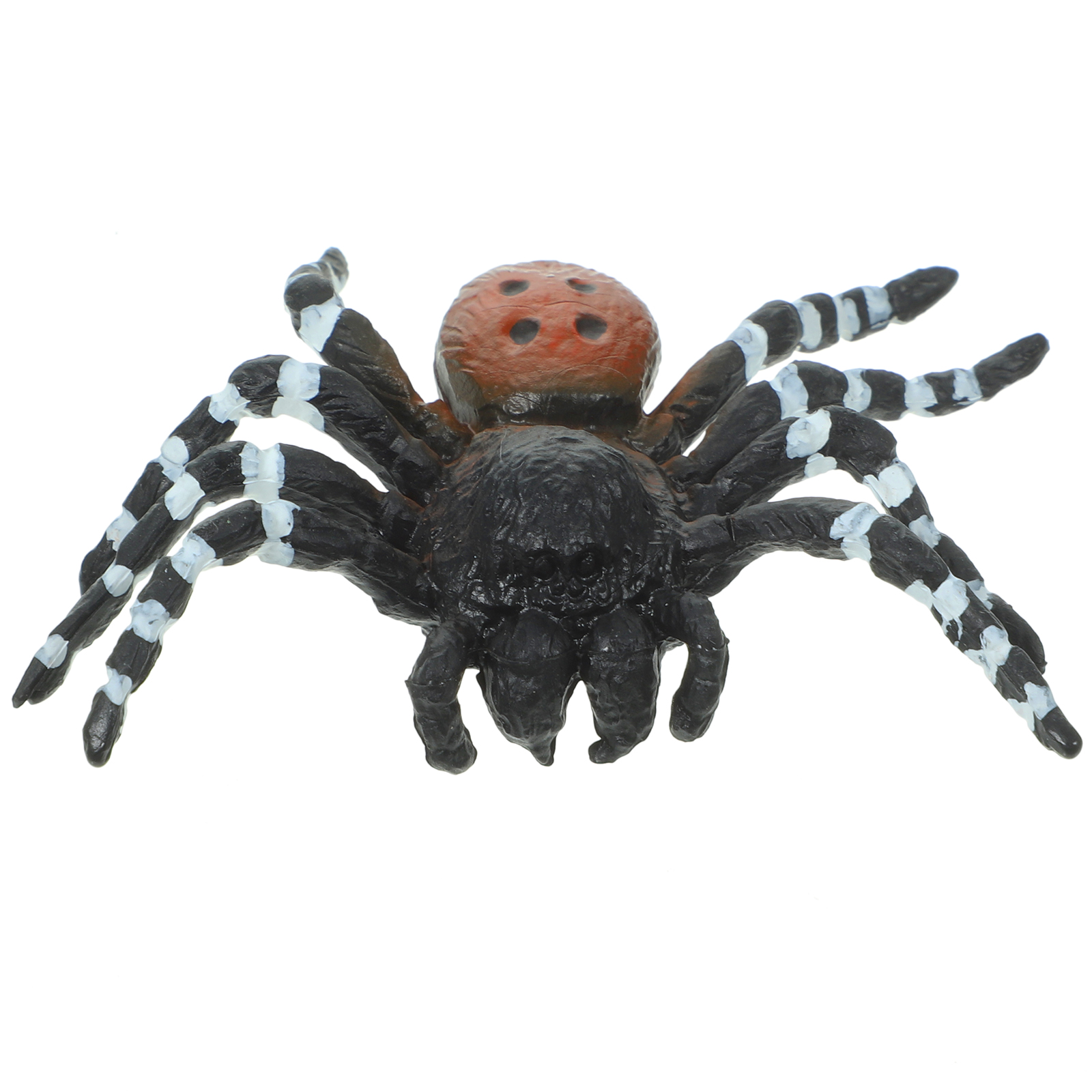 Realistic Spider Model Plastic Spider Model Fake Spider Models ...