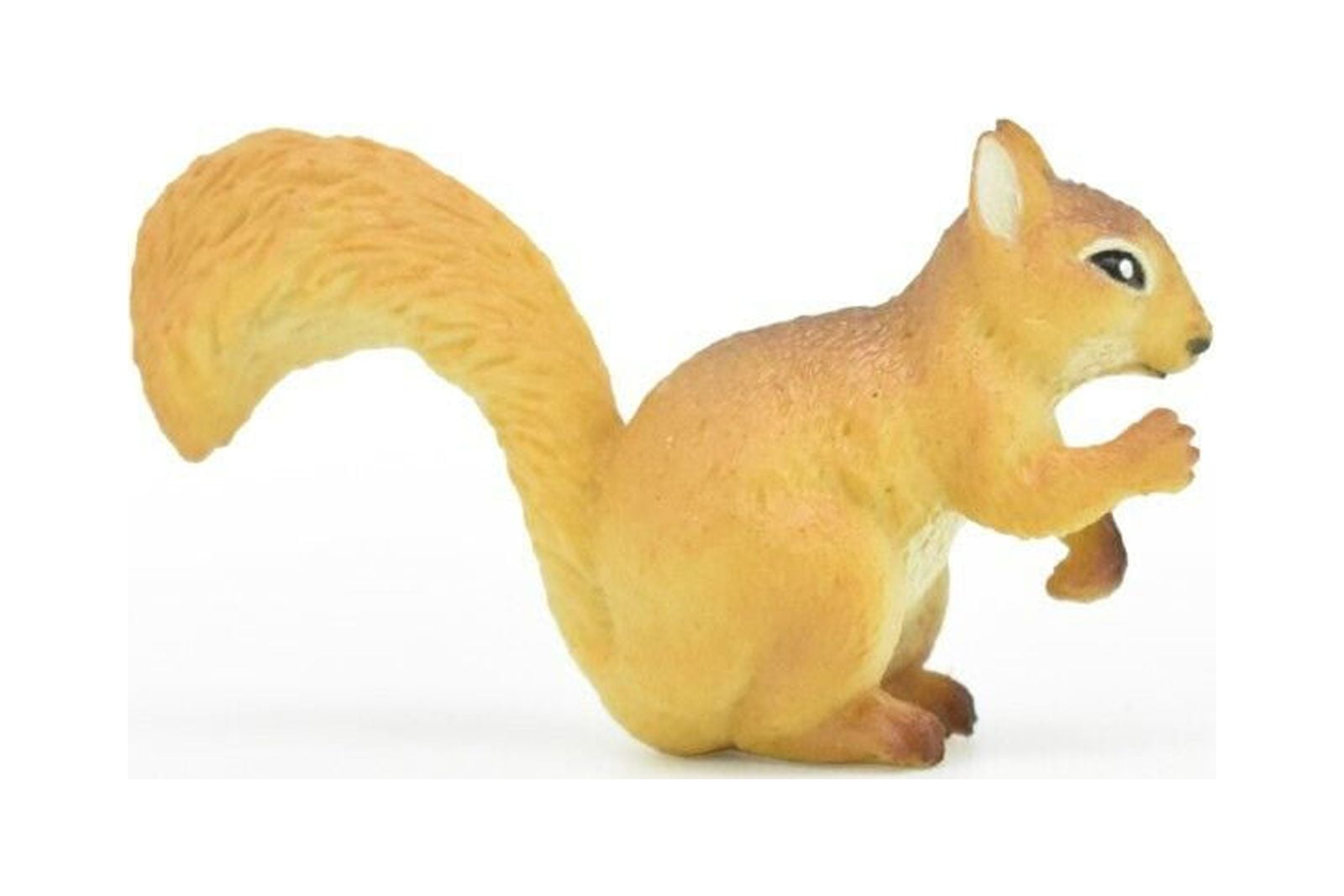 Realistic Squirrel Toy, Museum Quality Plastic Replica, Hand Painted 2 ...