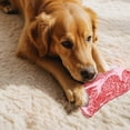 Realistic Steak Sound Toy for Cats & Dogs – Durable Chewable Pet Toy ...