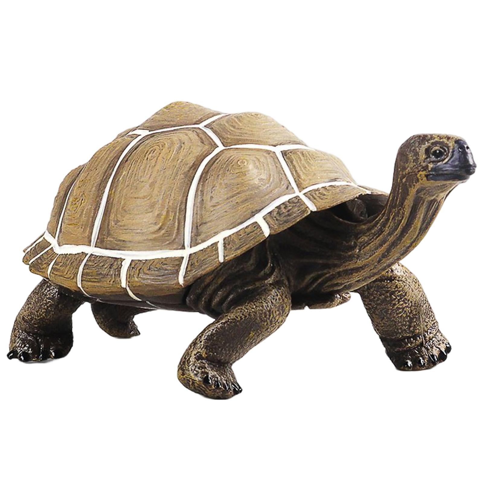 Realistic Turtle Model Figure ,Simulated Solid Mini Animal Model ,Fish ...