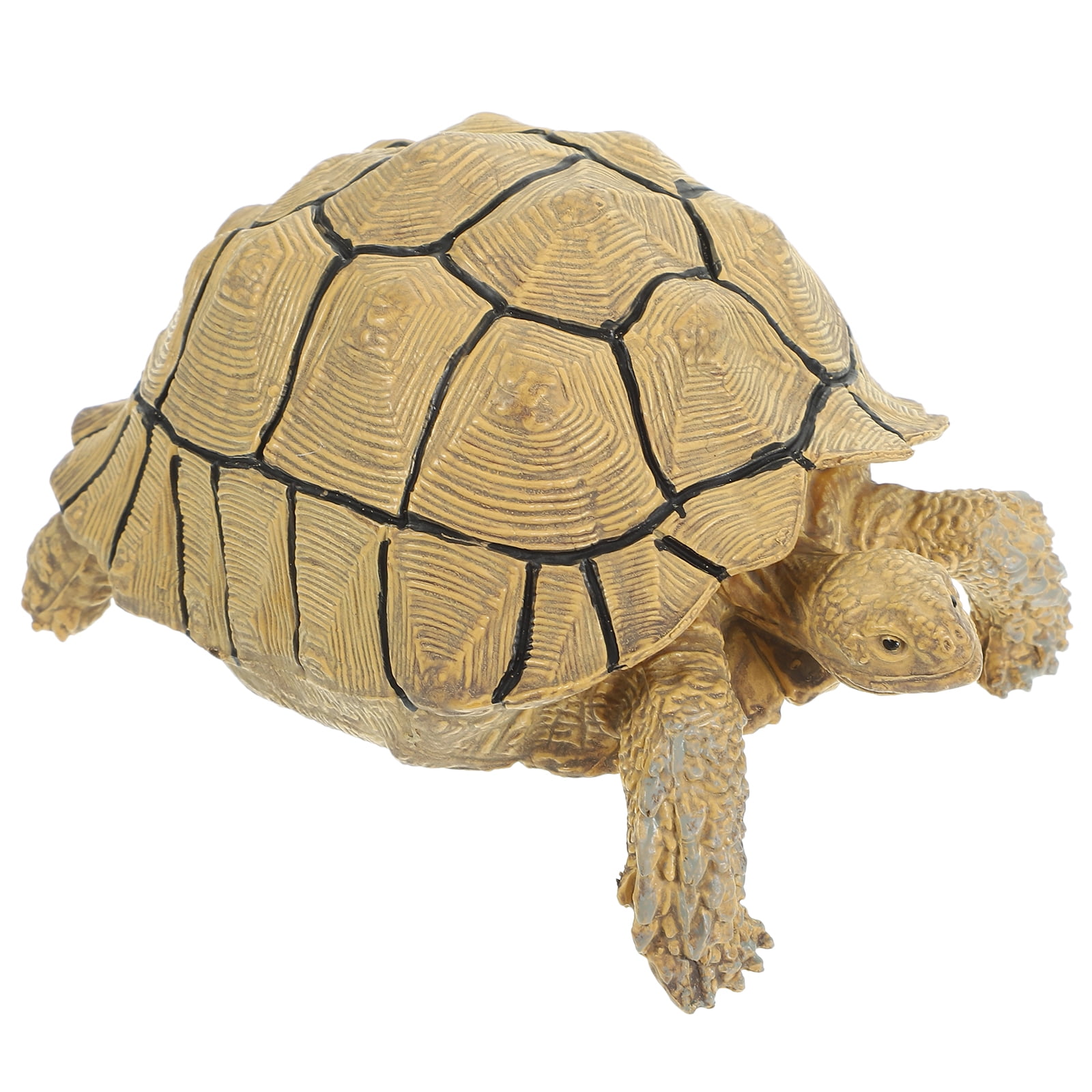 Realistic Turtle Model Simulation Turtle Figurine Model Tortoise Statue ...