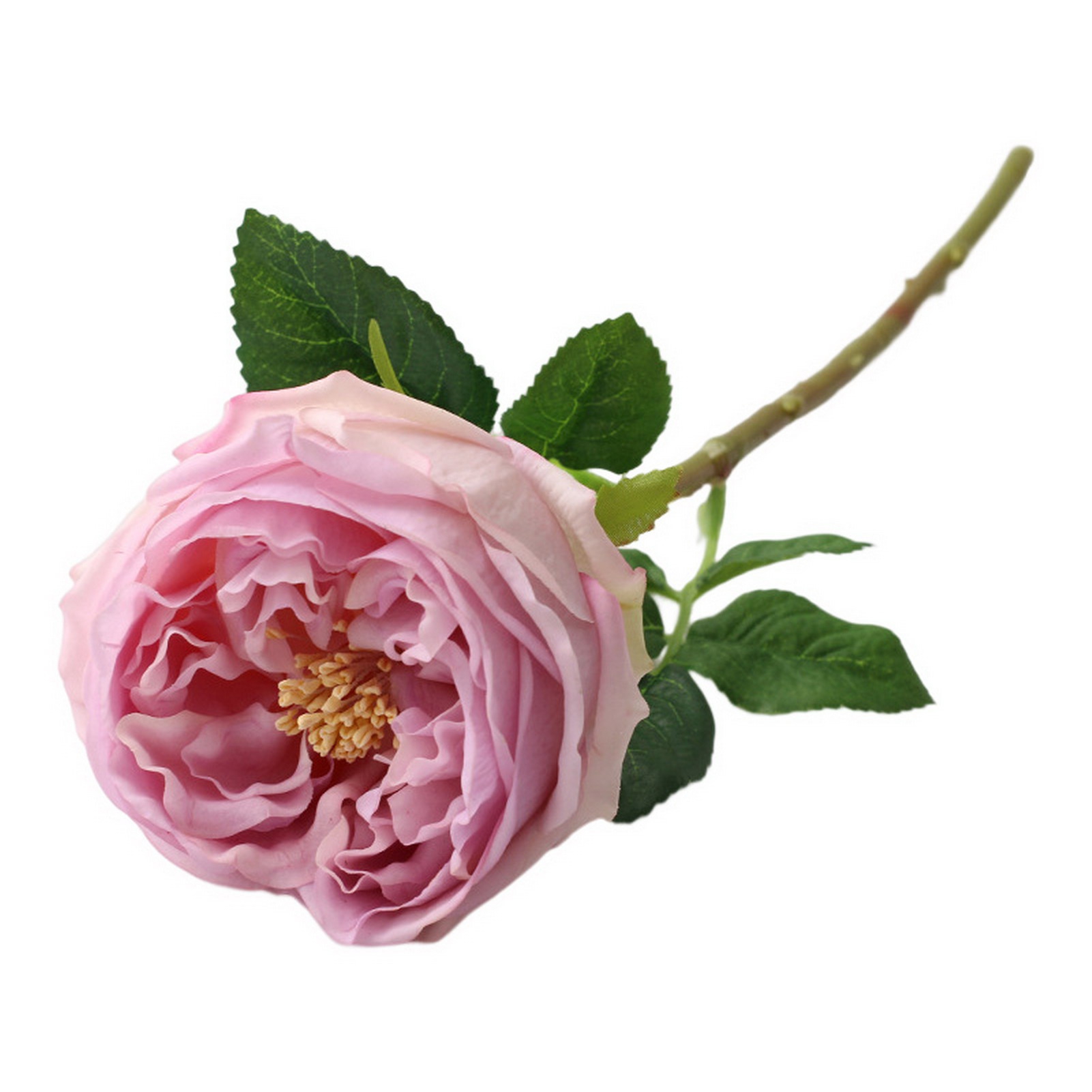 Realistic Vivid No Watering Not Withered Hemming Imitation Rose Faux ...