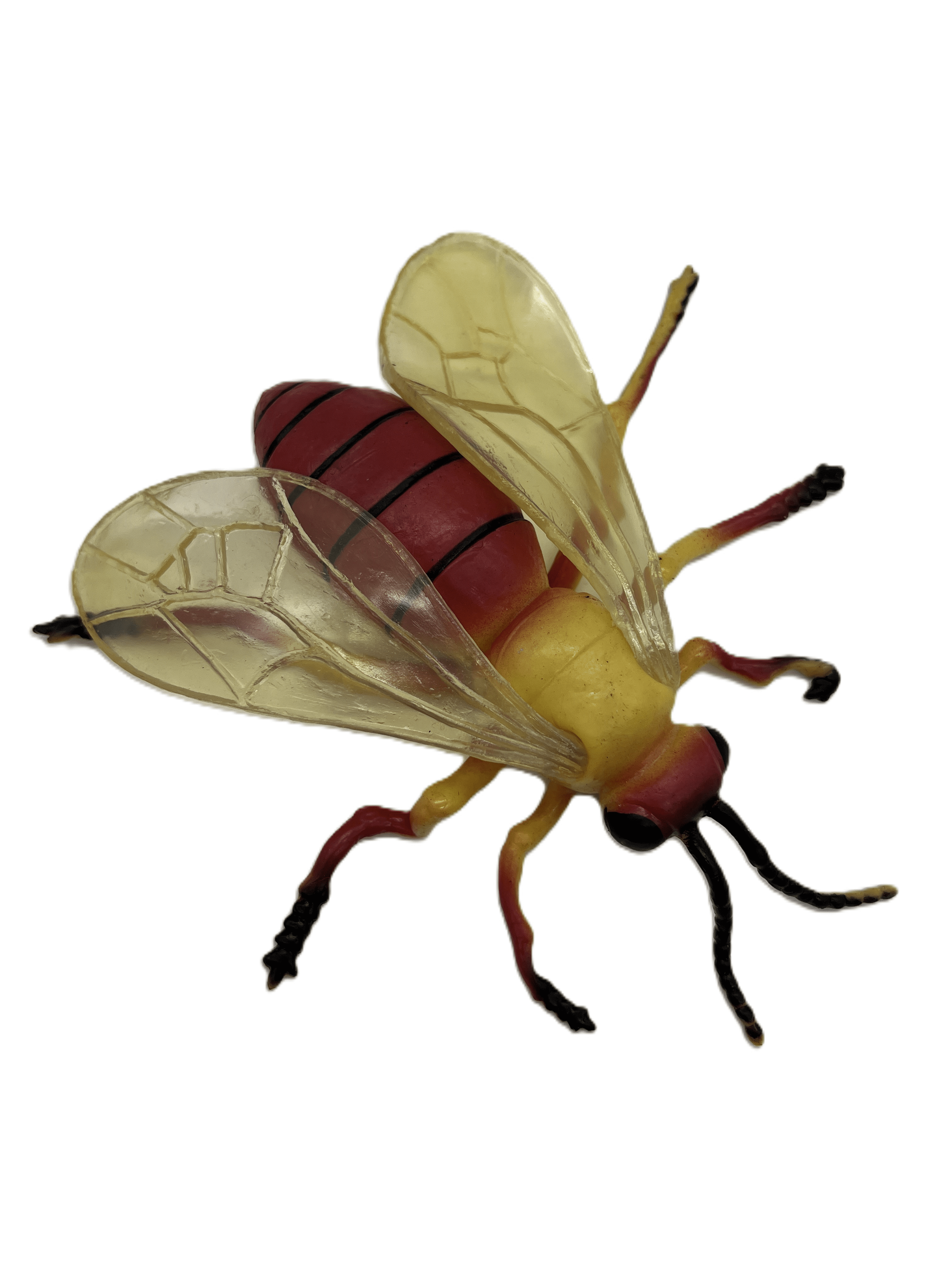 Realistic Wasp Insect Toy, Insect Toys for Kids, Plastic Wasp Toy ...