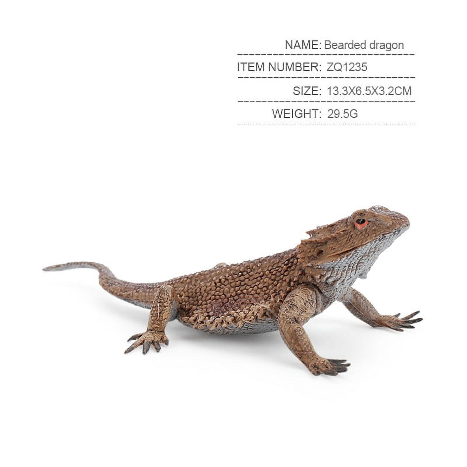 Realistic Wild Amphibian Action Figures Treefrog Bullfrog Toadfrog ...