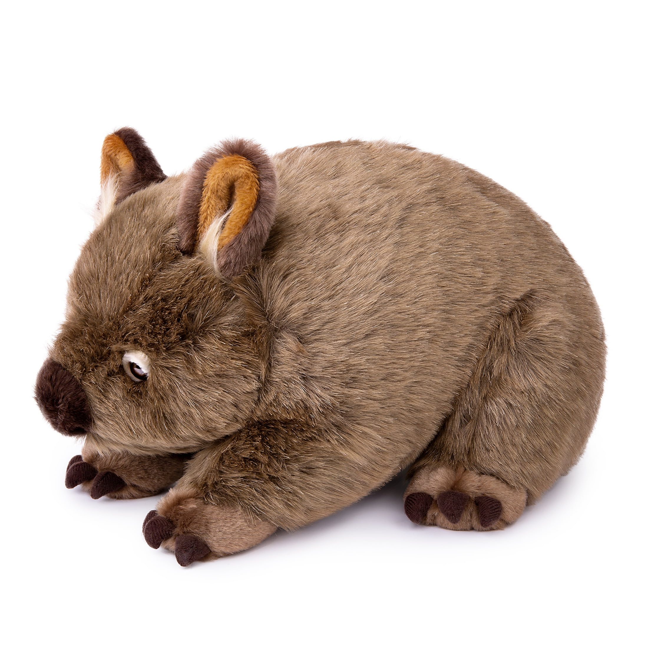 Realistic Wombat Stuffed Animal,Soft Wombat Plush Toy, Lifelike Animal ...