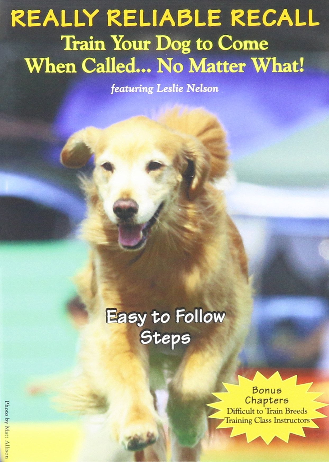 Really Reliable Recall: Train Your Dog to Come When Called...No Matter ...