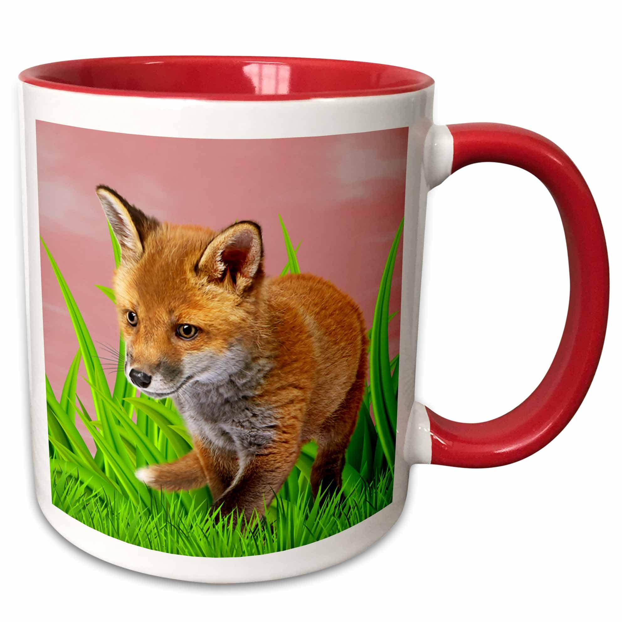 3drose, Really Sweet Little Fox in Green Grass Cute Design, 11oz Two ...