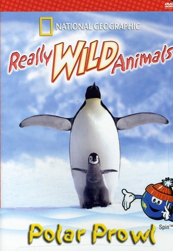 Really Wild Animals: Polar Prowl ( (DVD)) - Walmart.com
