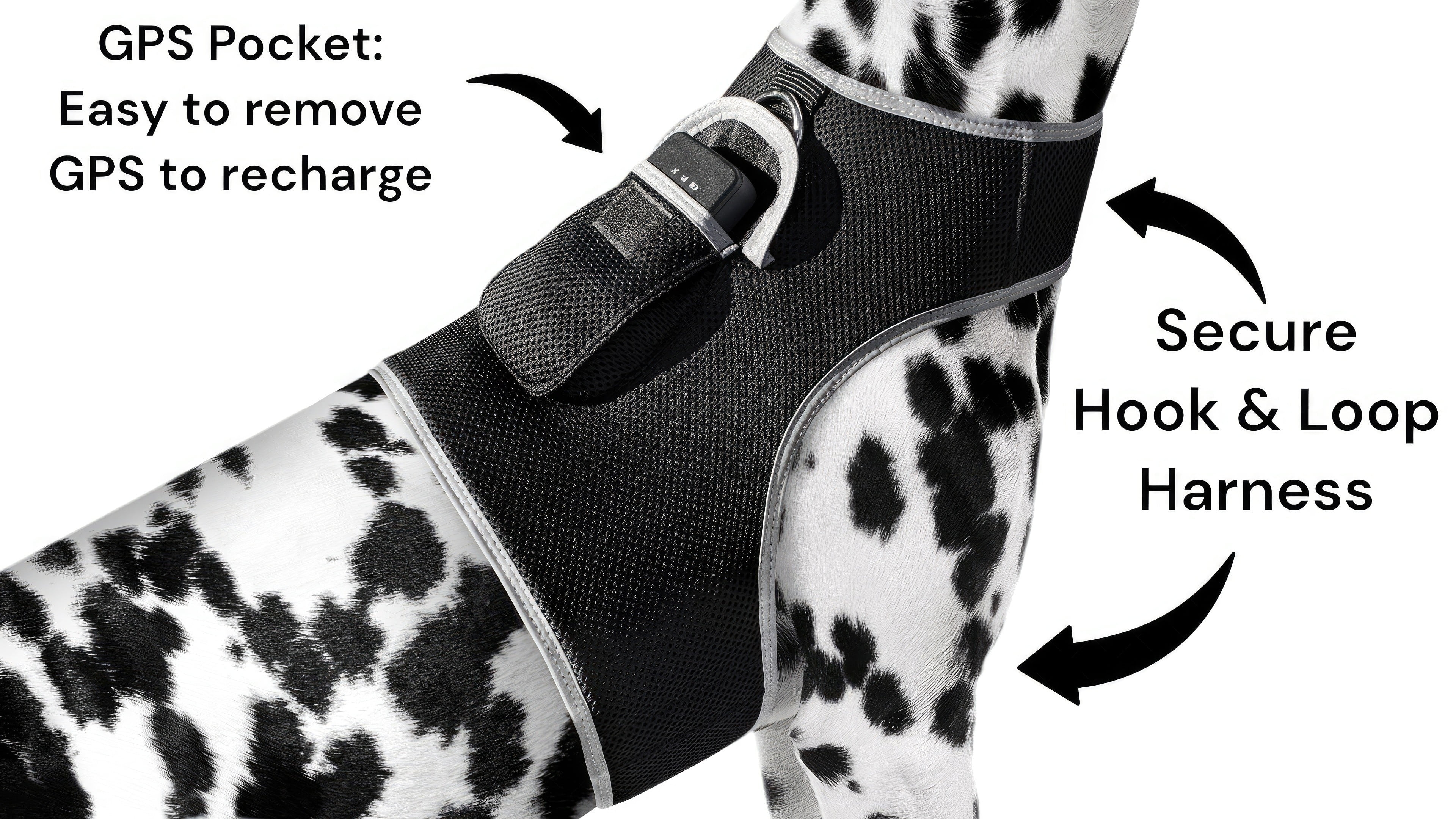 Realtime Collar Mount Pet Tracker GSM Smallest GPS Pet Tracking Device ...