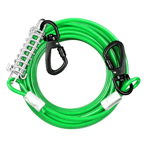 Carabiner Dog Leash