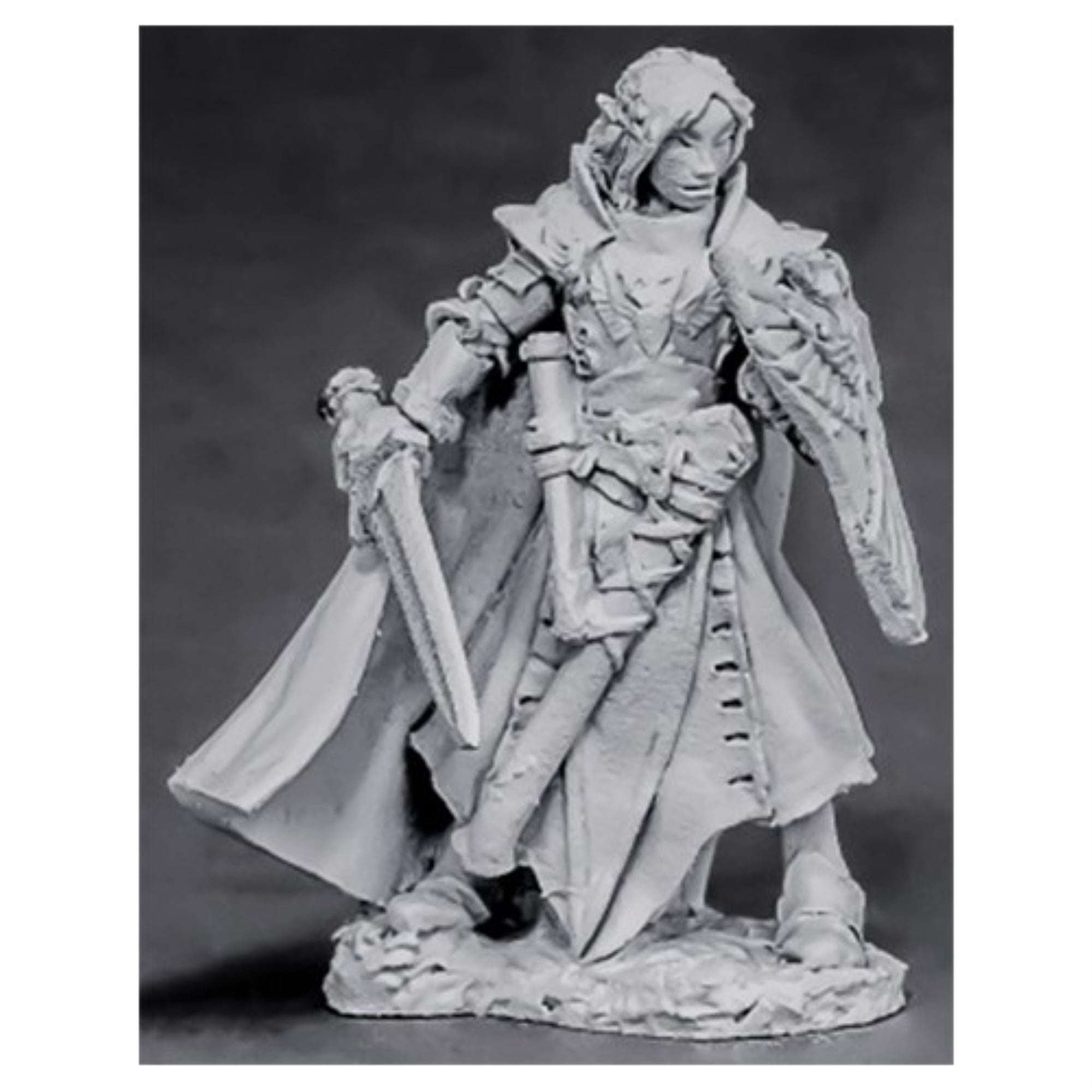 Elf Paladin