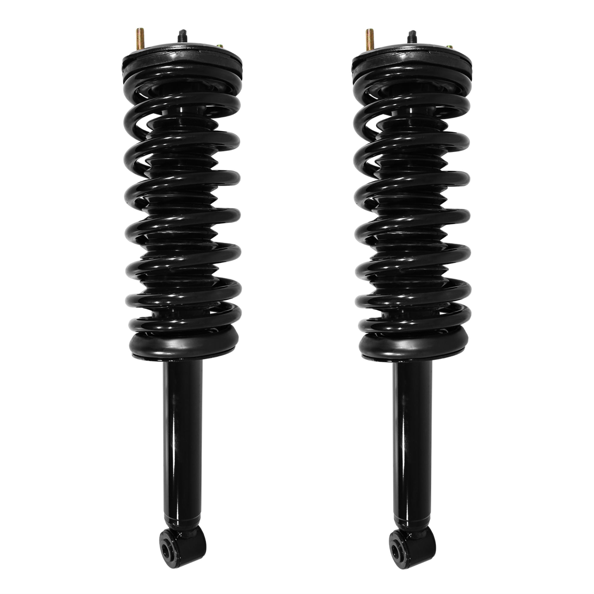 Rear Complete Strut Assembly Kit for 1995-1999 Nissan Maxima, 1996-1999 ...