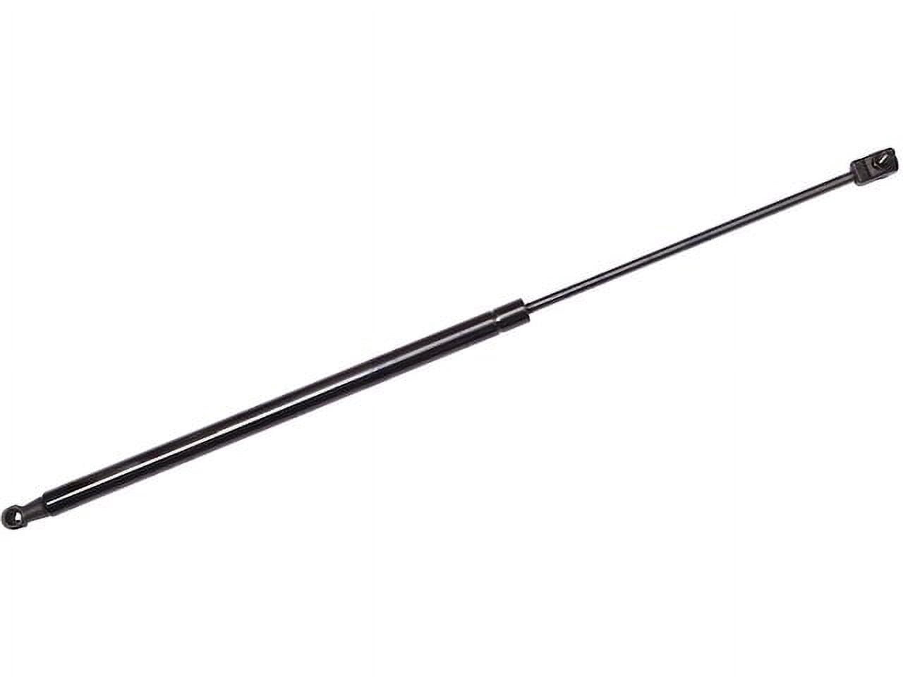 Rear Liftgate Lift Support - Compatible with 2014 - 2018 Mazda 3 2015 ...