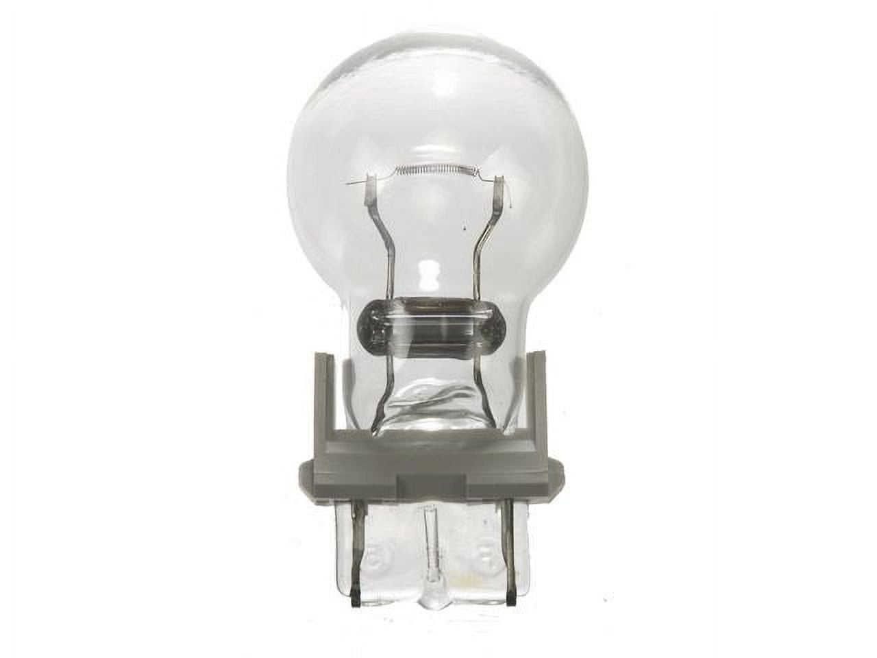 Rear Turn Signal Light Bulb - Compatible with 2001 - 2007 Ford Escape ...
