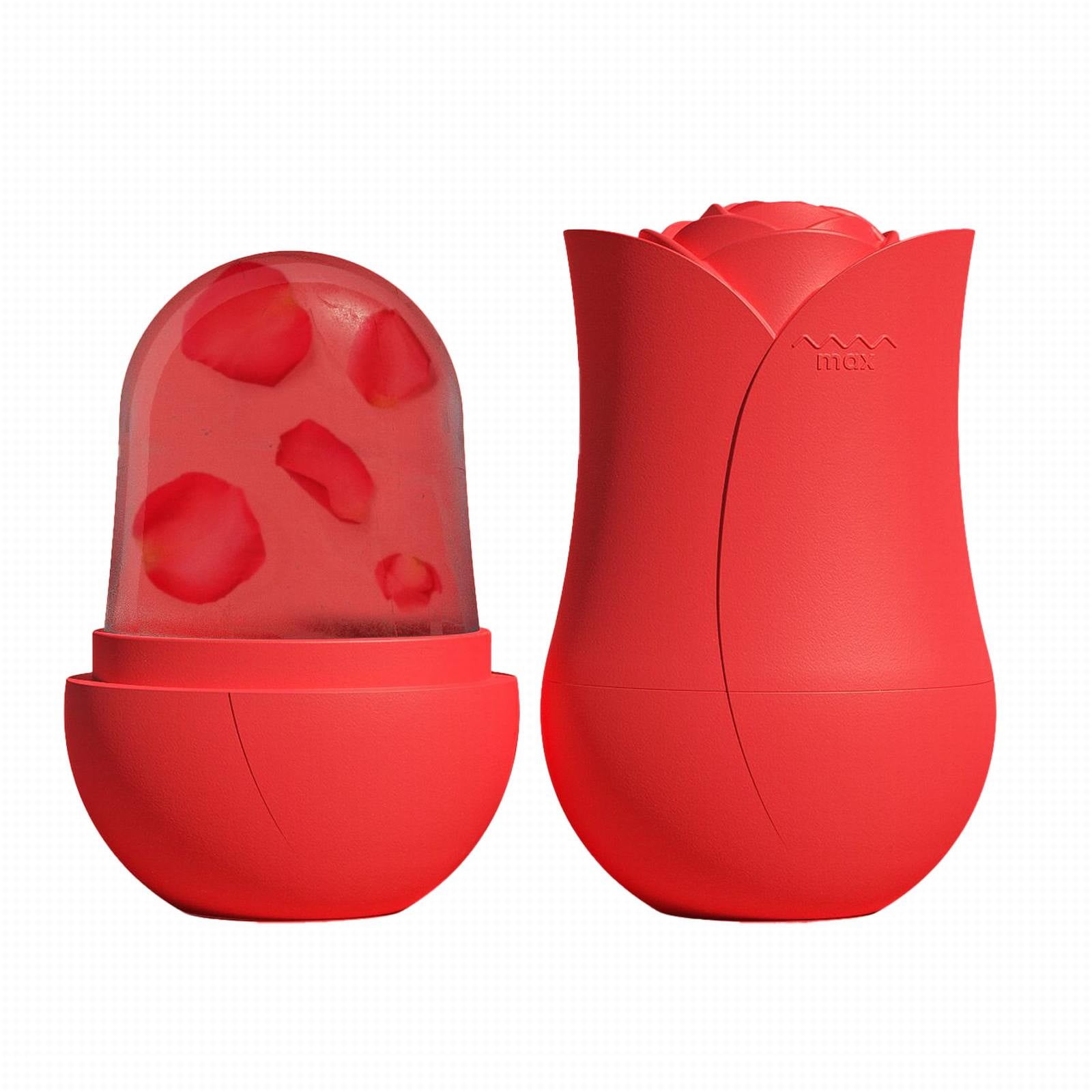 Reayehane Ice Cube Mold Rose Face Ice Lattice Beauty Products Face Ice ...