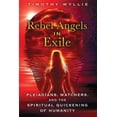 Rebel Angels in Exile: Pleiadians, Watchers, and the Spiritual ...