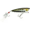 Rebel Magnum Pop-R Topwater Ole Bass 3" 1/2 oz. - Walmart.com