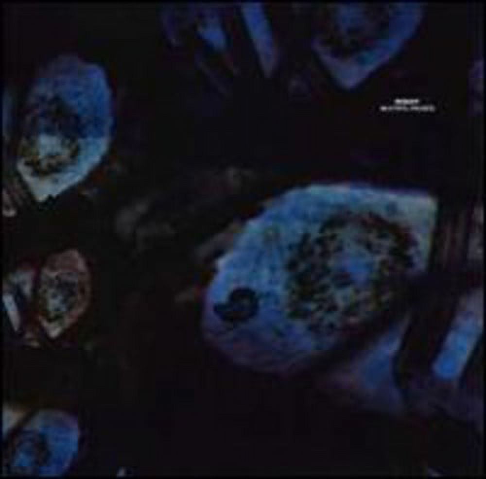 Reboot - Beautiful Parasite - Electronica - Vinyl - Walmart.com