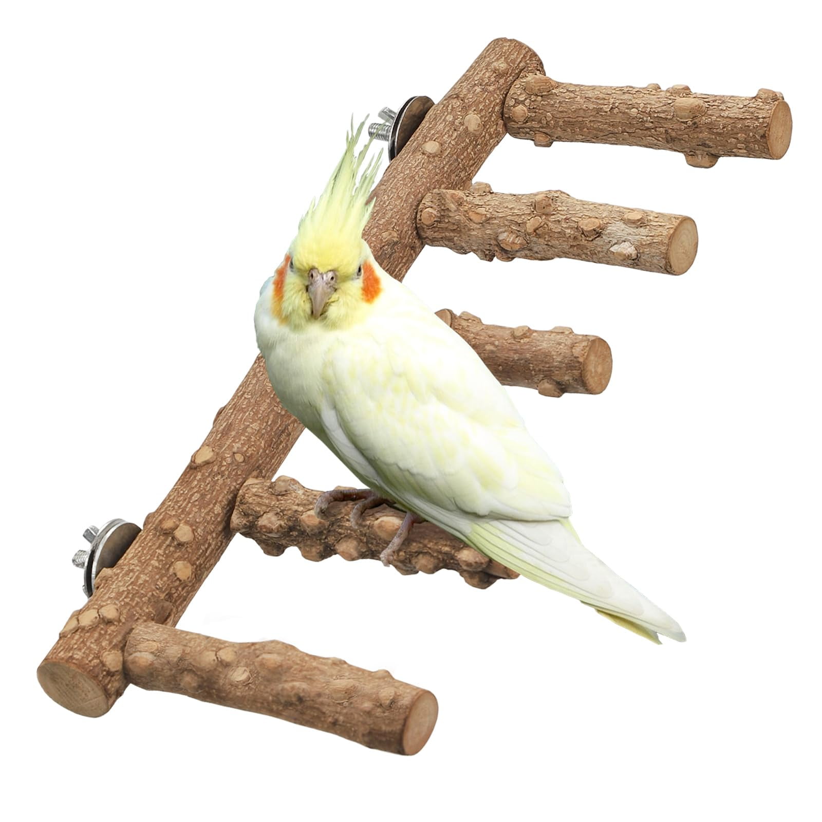 Rechale Bird Ladder Perch for Cage, Natural Wood Bird Parrot Perch ...