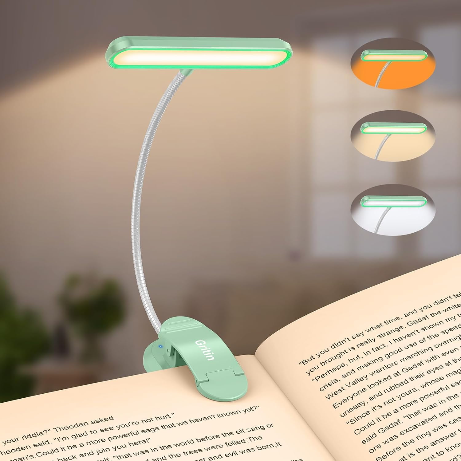 Rechargeable Book Light for Reading in Bed with 19 LED &Memory Function ...