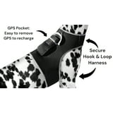 Rechargeable GSM Waterproof GPS Puppy Tracking Device Collar Mounted ...