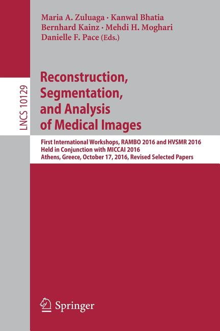 Reconstruction, Segmentation, and Analysis of Medical Images: First ...