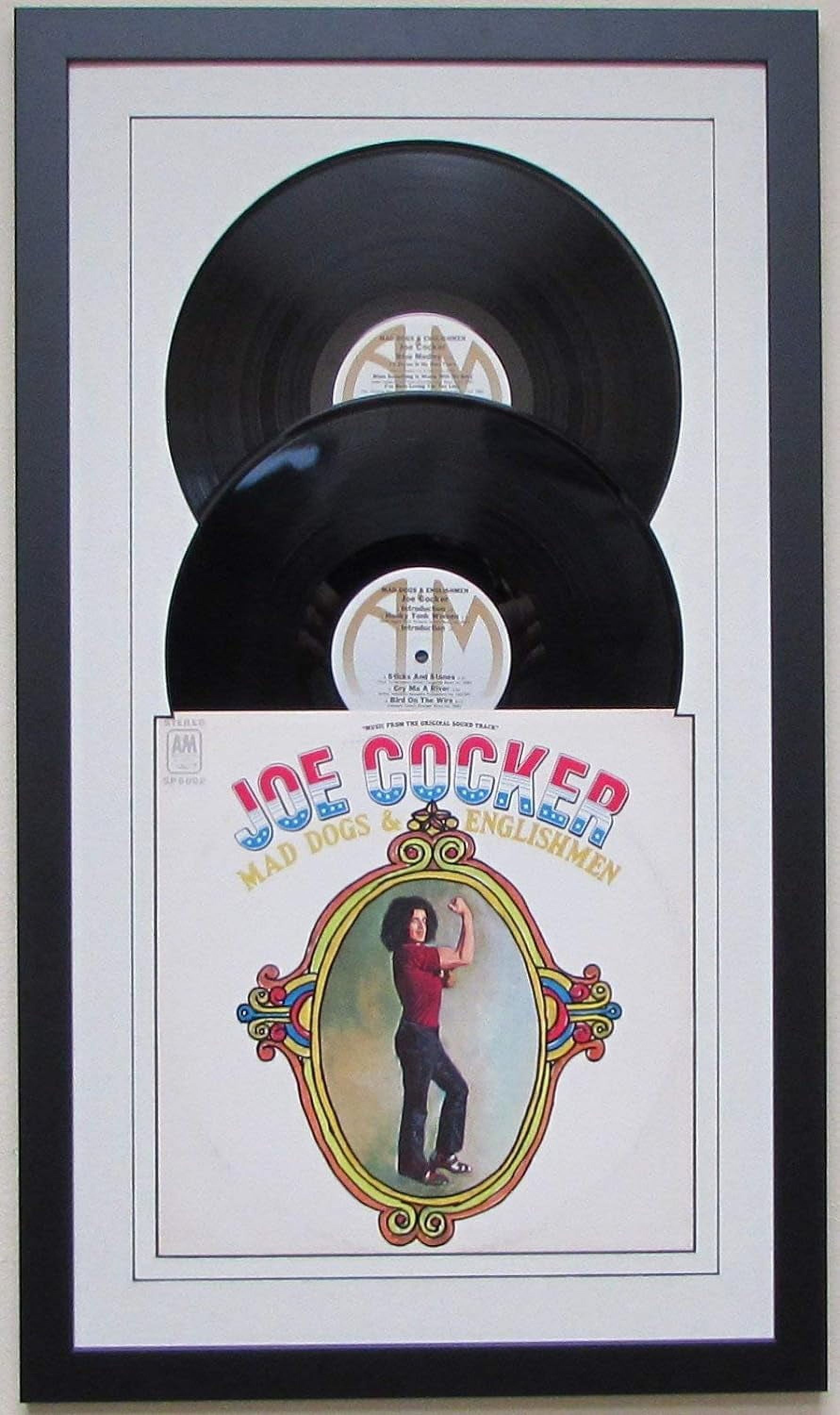 Record Album Double (2) Vinyl LP Frame Display Featuring White Matting ...