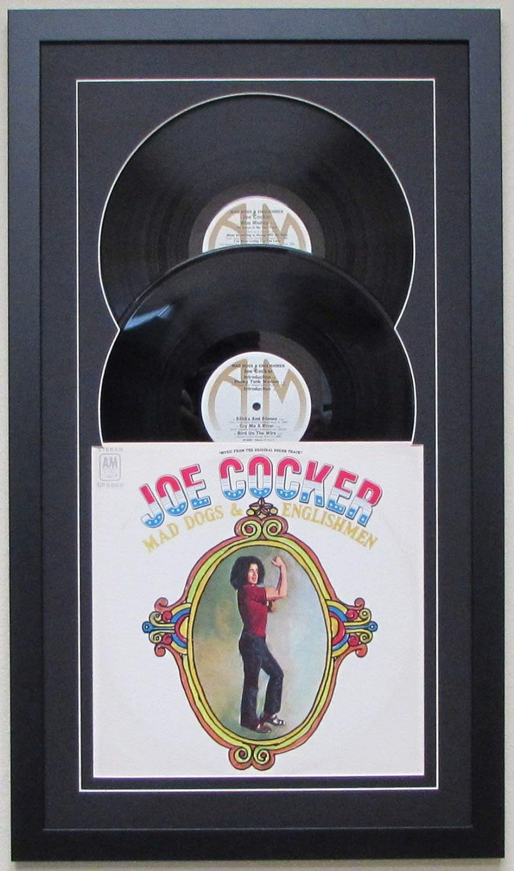 Record Album Double Vinyl LP Frame Display Featuring Black Matting Juke ...