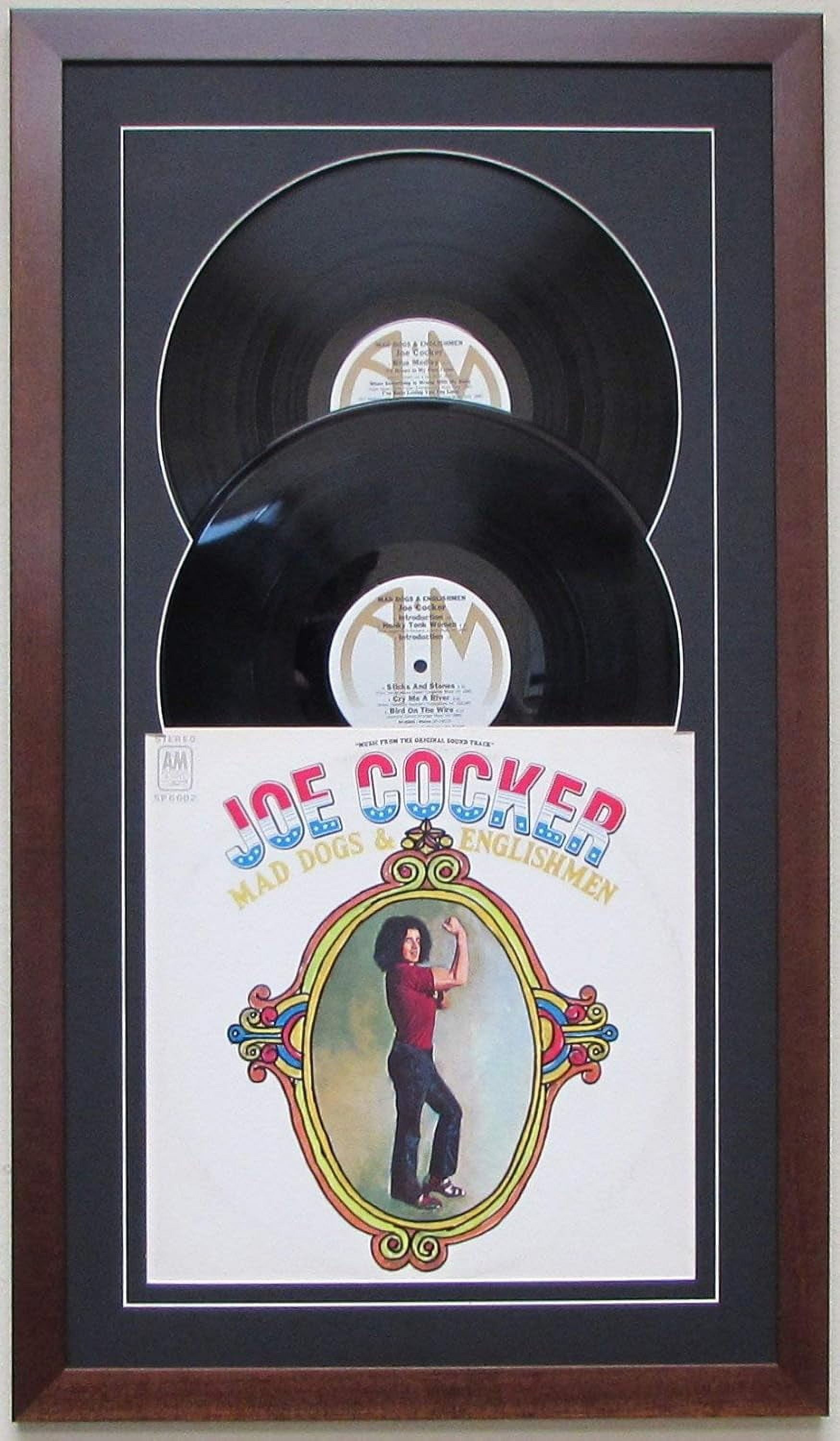 Record Album Double Vinyl LP Frame Display Featuring Black Matting Juke ...