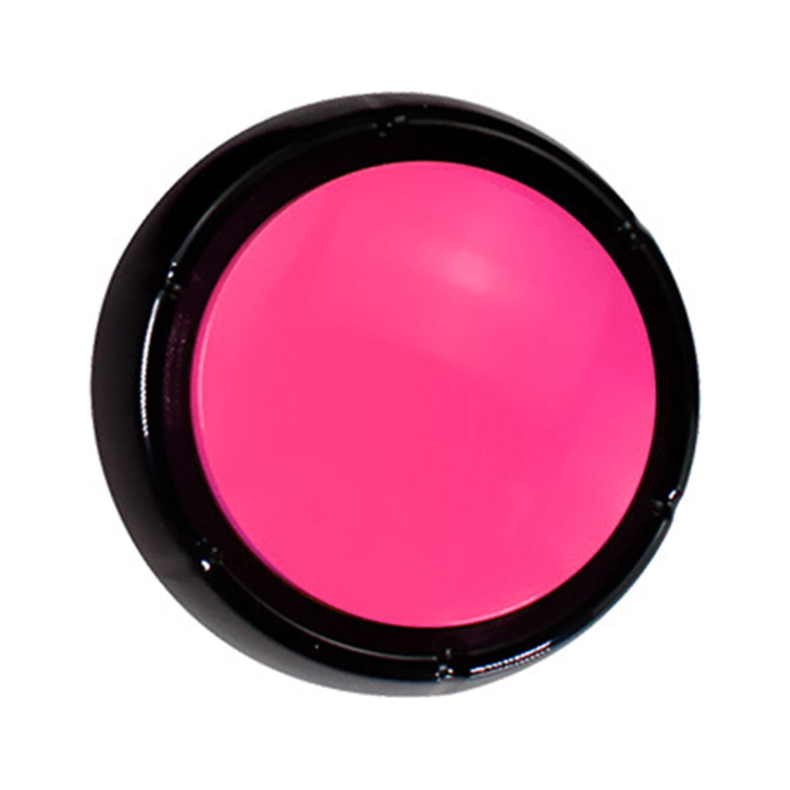 Recordable Sound Button Entertain and Train with Safe Dog Speech ...