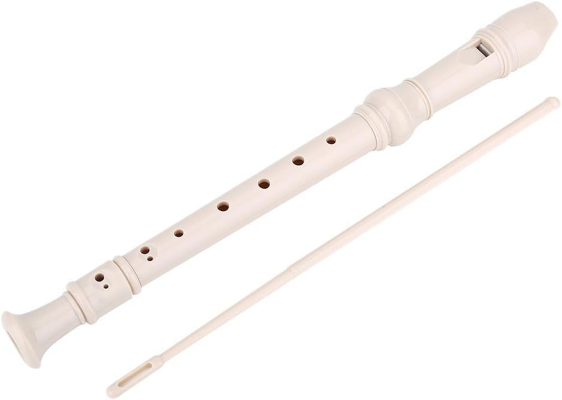 Recorder Instrument, 8 Holes High Pitch Soprano Recorder Detachable ...