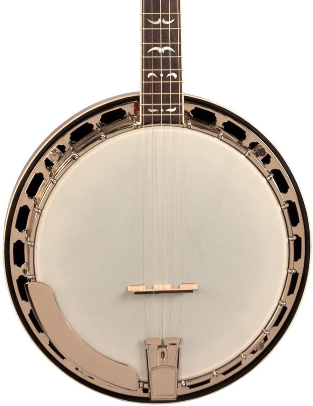 Recording King - RK-R36 The Madison 5-String Resonator Banjo - Gloss ...