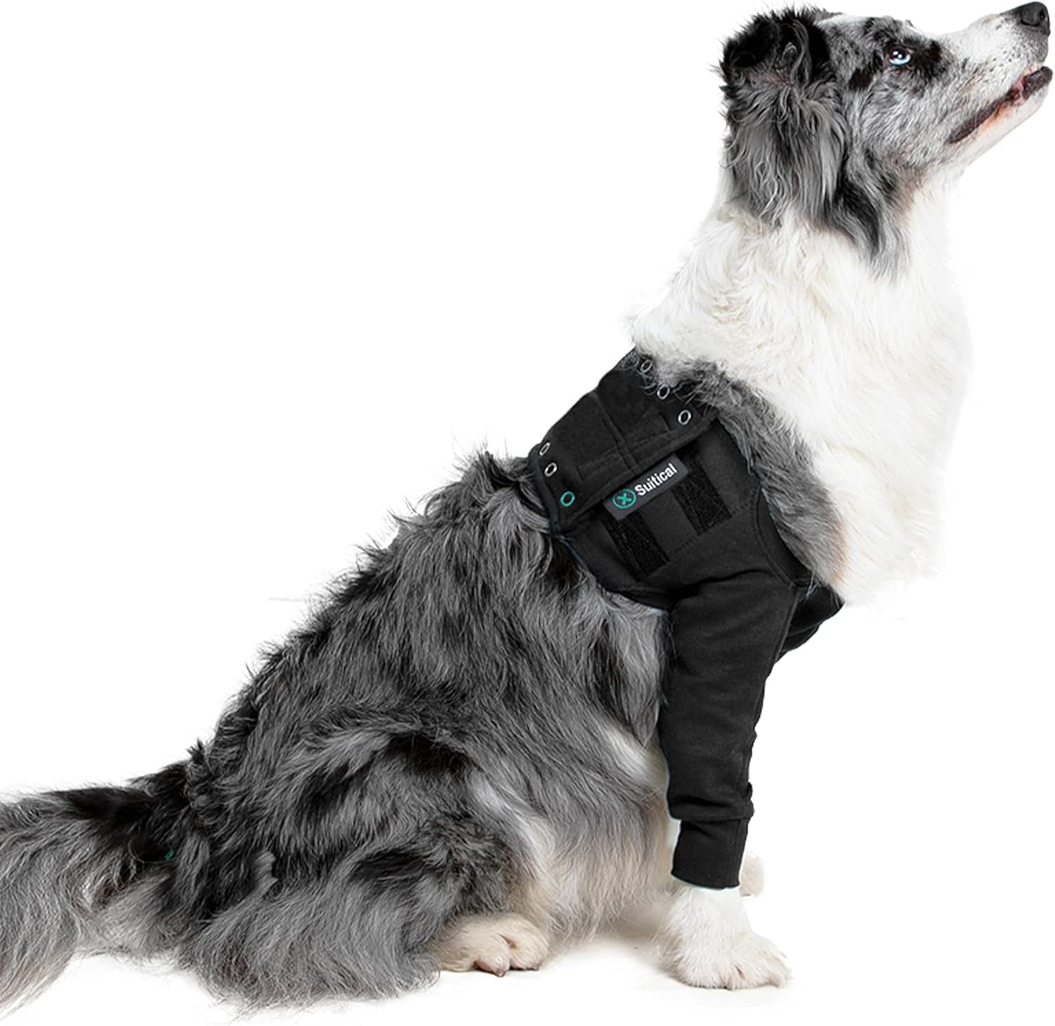 Recovery Double Sleeve for Dogs - Front Leg Protection for Post-Surgery ...