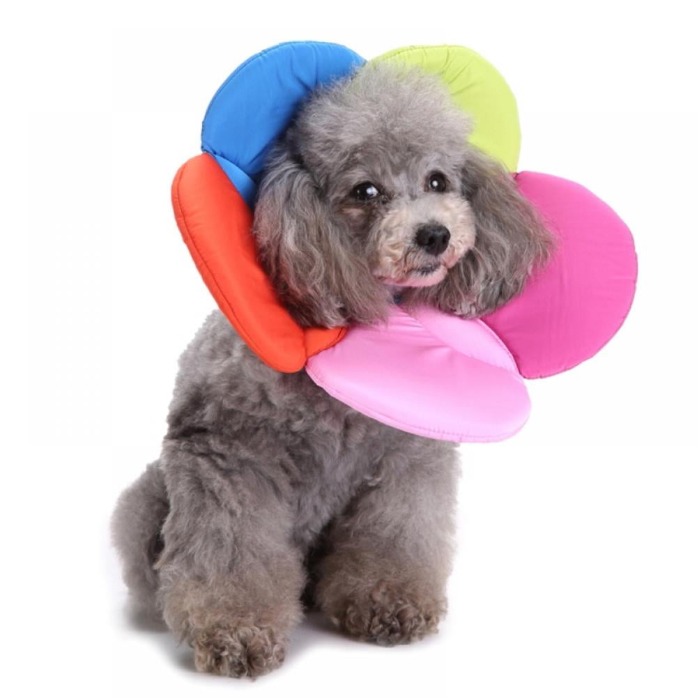 Recovery Pet Cone E-Collar for Cats Dogs After Surgery Soft Dog ...