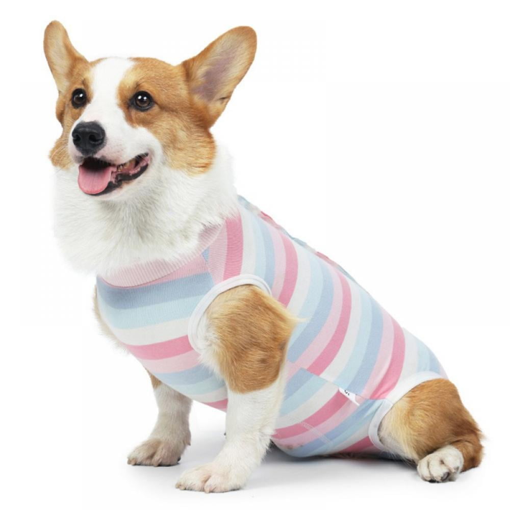 Recovery Suit Dog Surgical Recovery Suit Puppy Medical Surgical Clothes ...