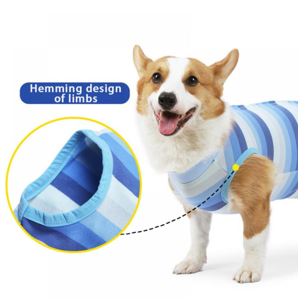 Recovery Suit Dog Surgical Recovery Suit Puppy Medical Surgical Clothes ...