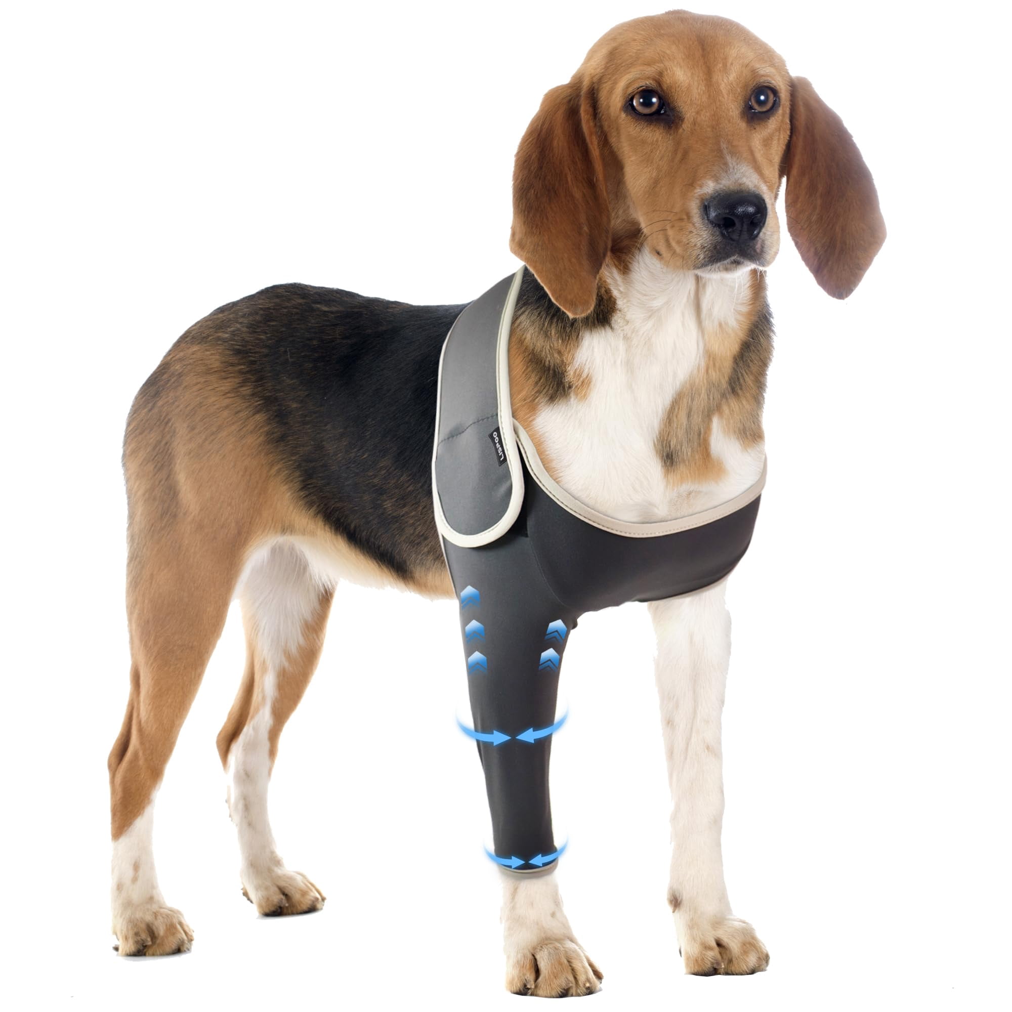 Recovery Suit for Dogs Front Right Leg, Dog Recovery Suit Female,Male ...