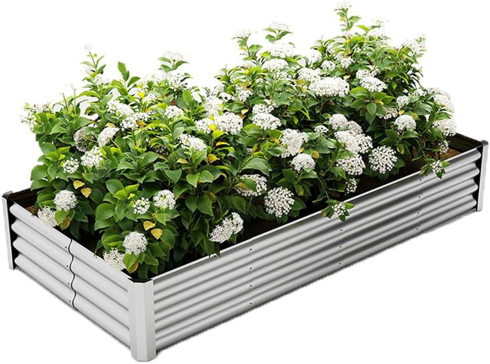 Rectangle Galvanized Raised Garden Beds Outdoor 4×2×1ft (1pcs Planter ...