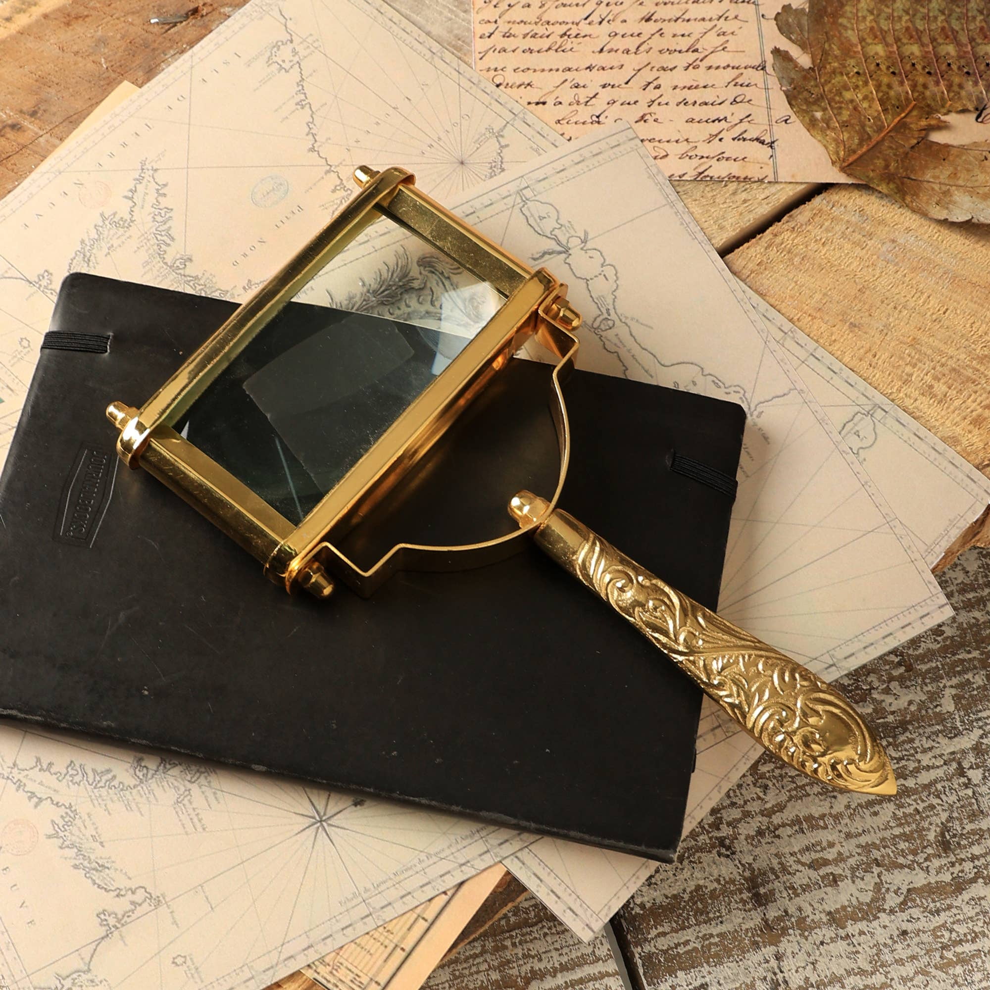 Expobazaar Rectangular Jardin Magnifier - Stailness Steel Glass ...