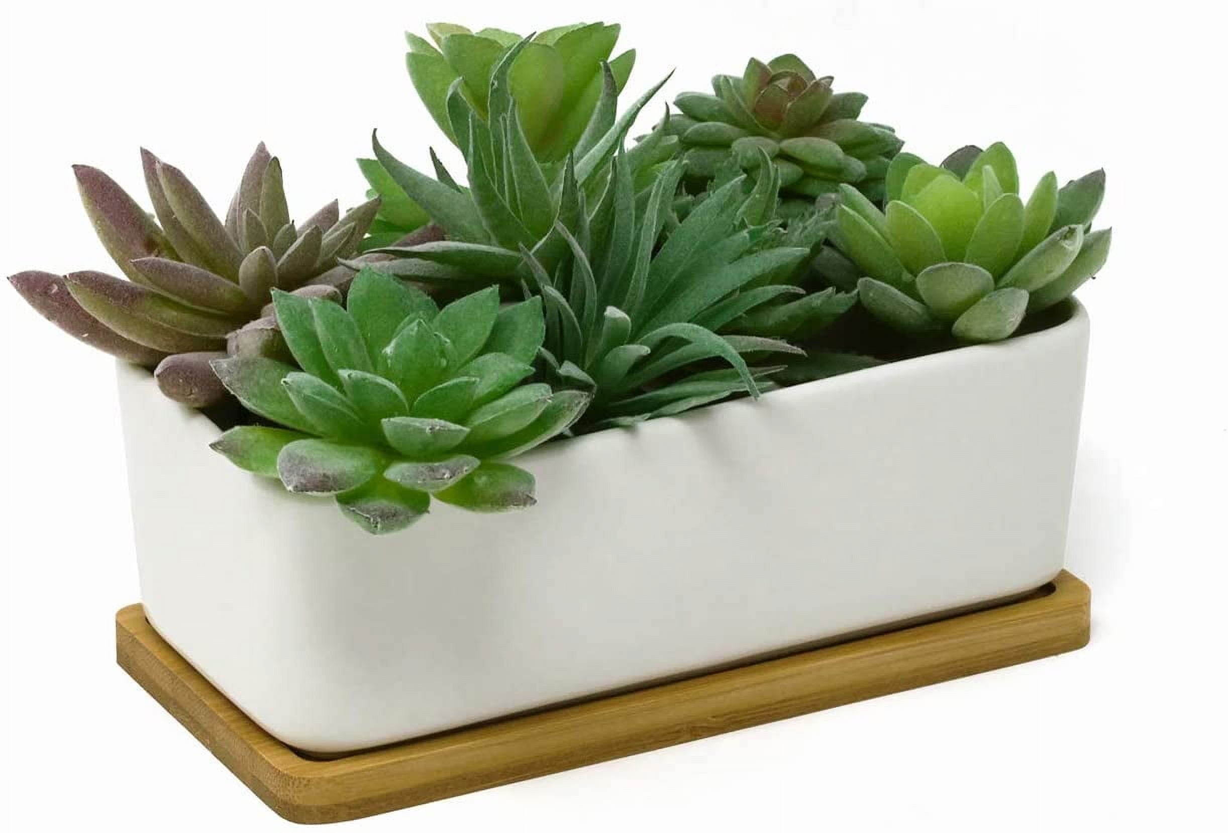 Rectangular Long White Ceramic Succulent Planter Pot with Drainage Hole ...