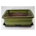 Rectangular Moss Green , Cactus, Pot 10x 8x 3.25 Tray Mesh - Walmart.com