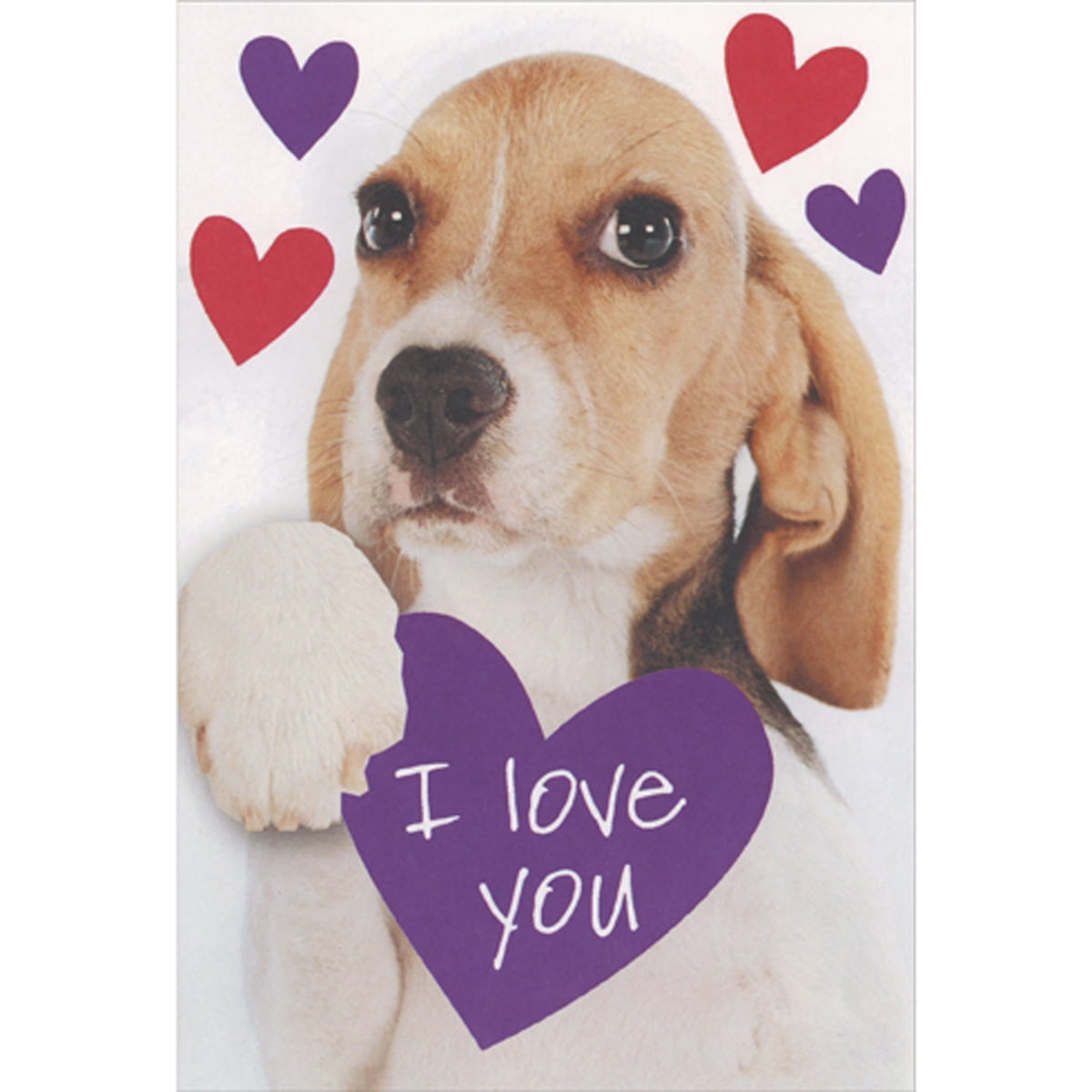 Recycled Paper Greetings Basset Hound Dog with Purple 'I Love You Heart ...