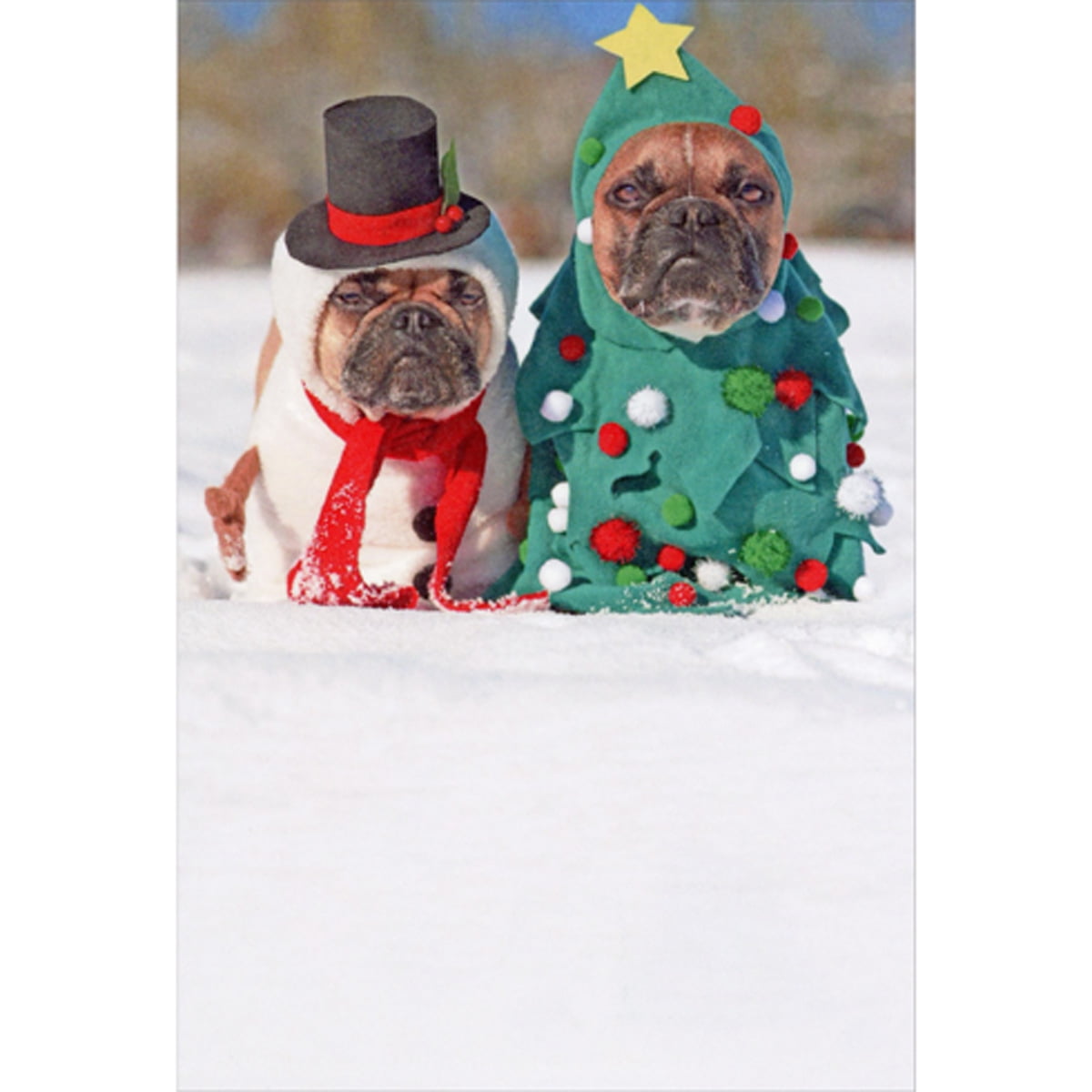 Recycled Paper Greetings Dogs Dressed Like Snowman and Christmas Tree ...