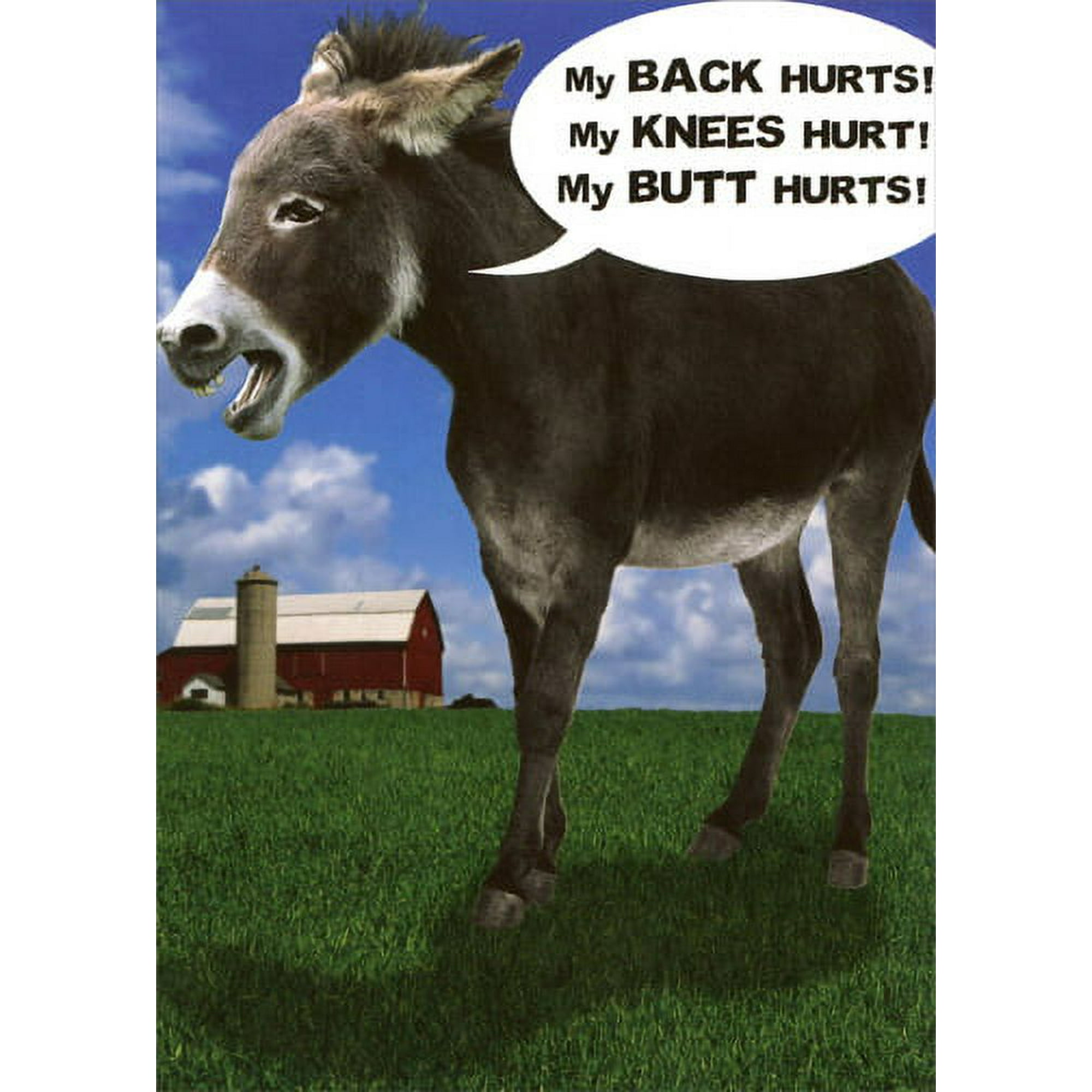 Happy Birthday Donkey Card