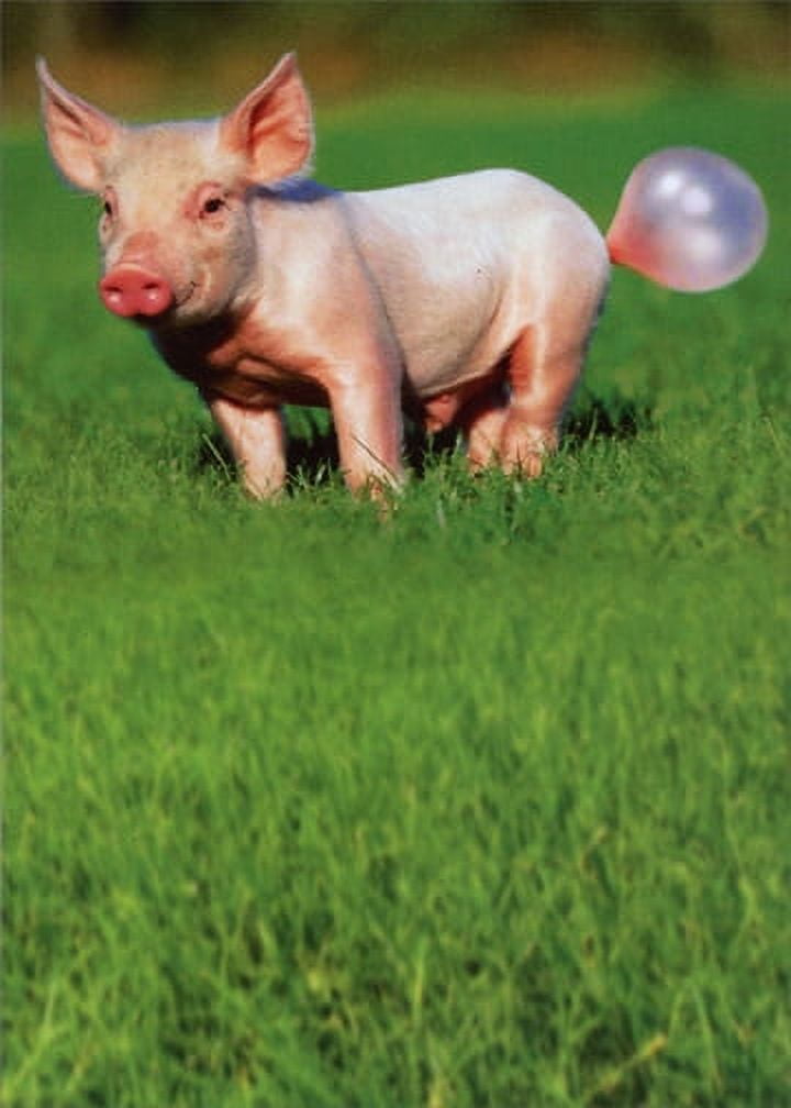 Recycled Paper Greetings, Happy Birthday Card, Pig Blowing Bubble ...