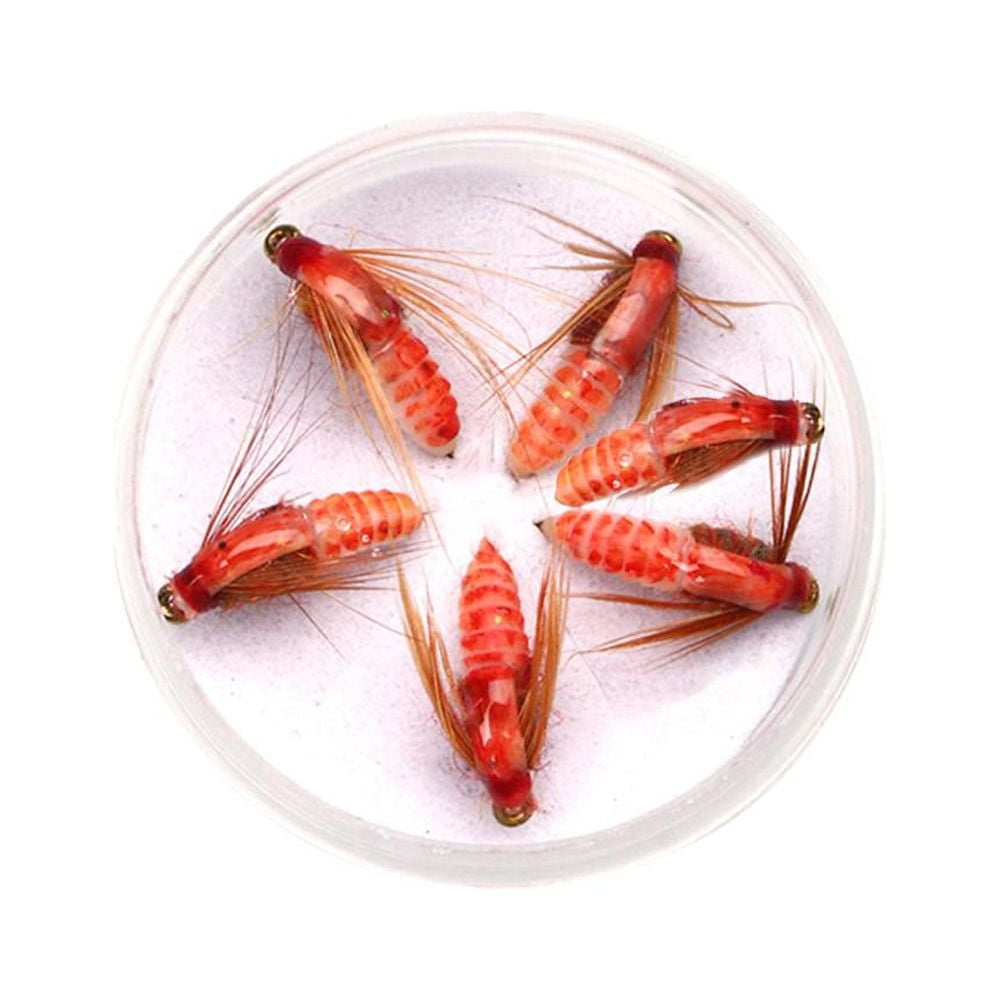 Red 6-Piece Round Box 12# Caddisfly Nymph Hook Fly Hook Hair Hook Lure ...