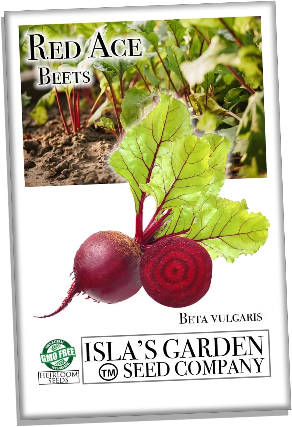 Red Ace Beet Seeds (Beta vulgaris) - 100+ Non-GMO Seeds for Planting ...